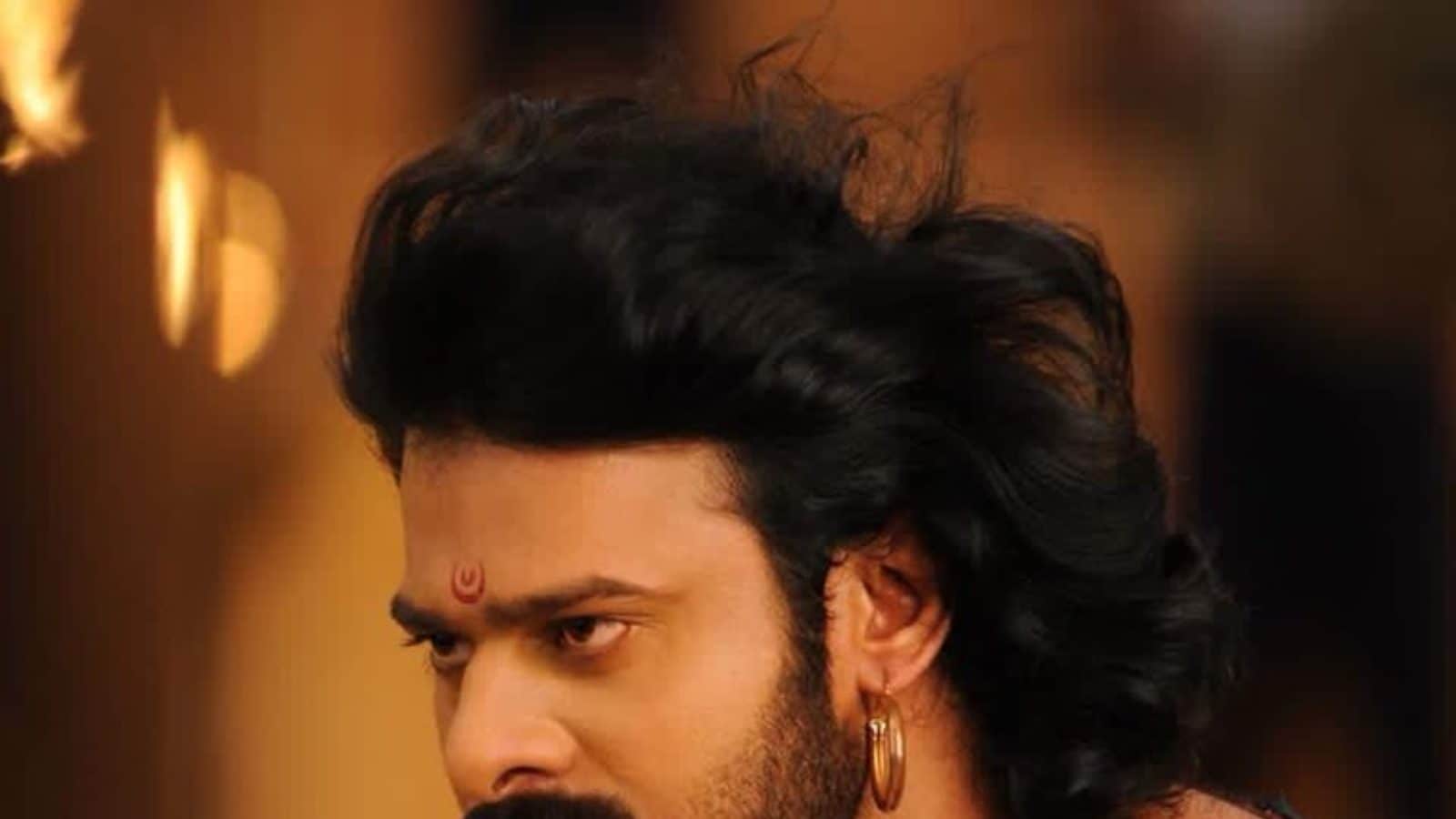 Prabhas : రాయల్ బెంగాల్ టైగర్‌కు ప్రభాస్ పేరు.. ఇది కదా అసలైన ఎలివేషన్ ...