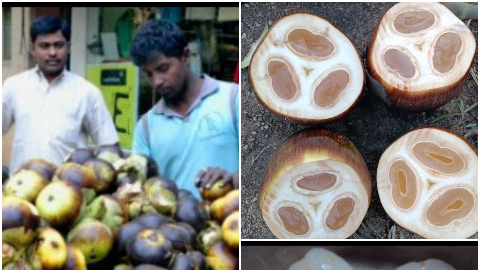 Ice Apple: వేసవిలో మాత్రమే దొరికే ఫ్రూట్‌.. ఖర్చు తక్కువ ...