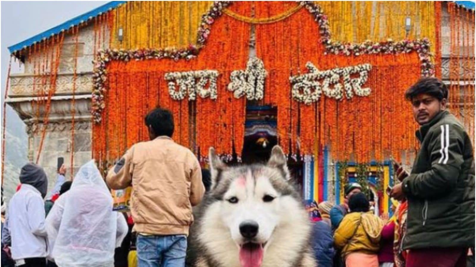 Kedarnath: కేదార్‌నాథ్ ఆలయంలో కుక్క.. నందికి పూజలు.. కేసుపెట్టిన పోలీసులు