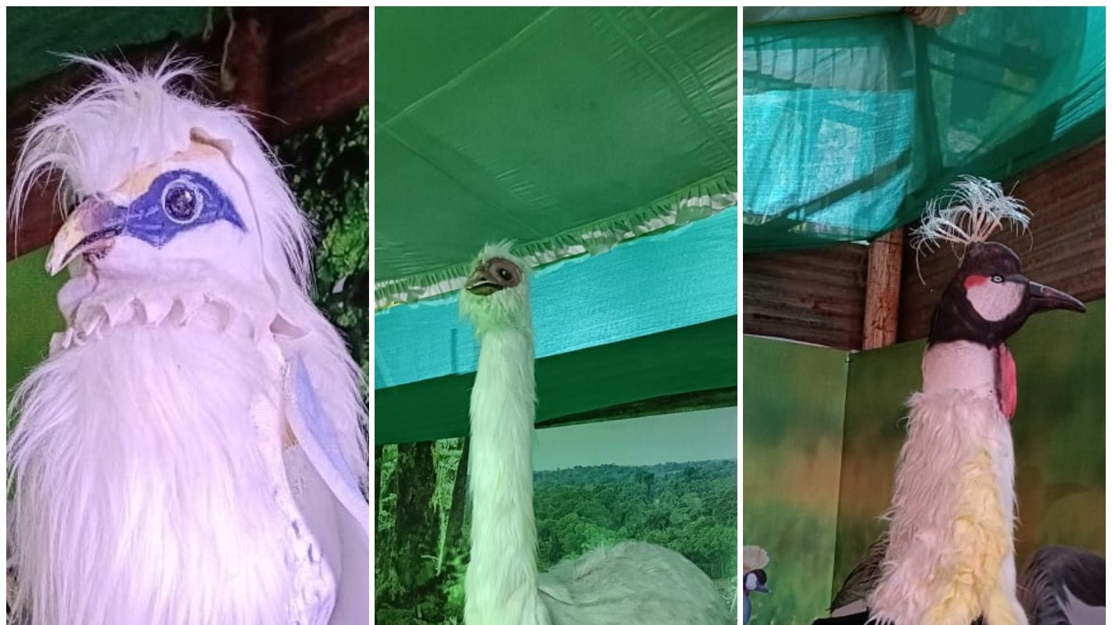 విజయవాడలో ఆకట్టుకుంటున్న రొబొటిక్ బర్డ్స్ పార్క్ – Robotic birds park ...