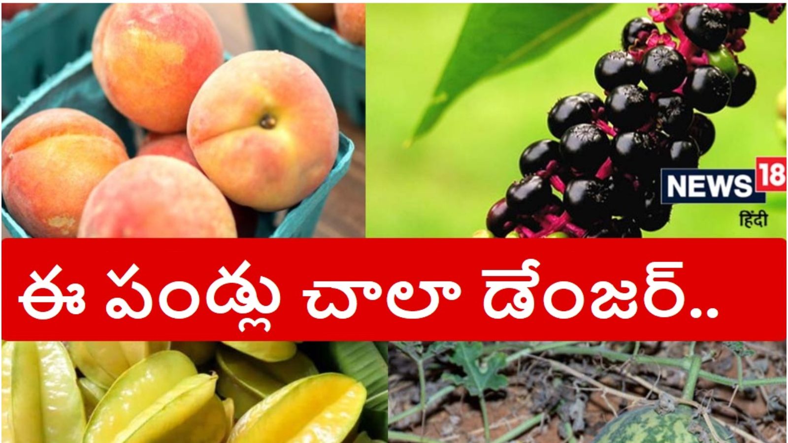 Most Poisonous Fruits: ఈ పండ్లను పొరపాటున కూడా తినకండి.. చాలా డేంజర్ ...