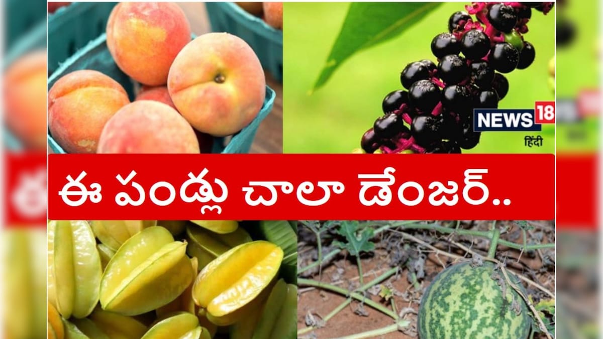 Most Poisonous Fruits: ఈ పండ్లను పొరపాటున కూడా తినకండి.. చాలా డేంజర్ ...
