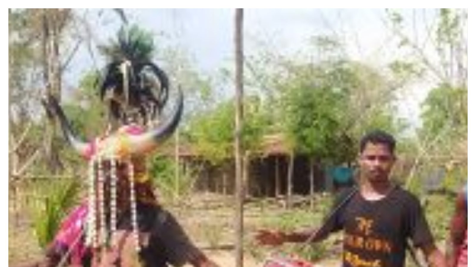 Mulugu: స్వాతంత్య్రం వచ్చి 75 ఏళ్లయినా అడవికి దగ్గరగా.. ఆధునిక ...