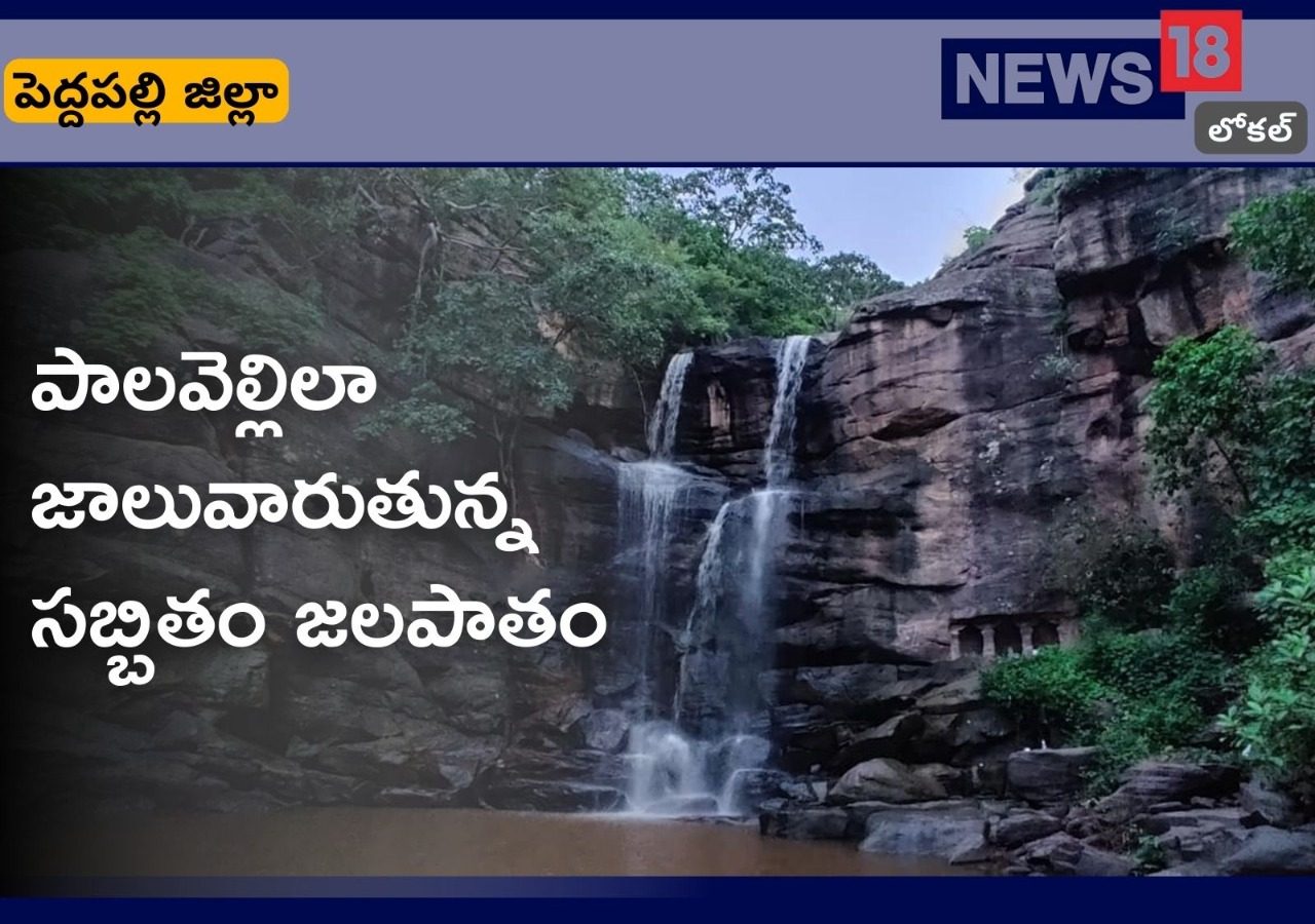 Peddapalli: బెస్ట్ టూరిస్ట్ ప్లేస్ .. పెద్దపల్లి పచ్చని వనంలో ...