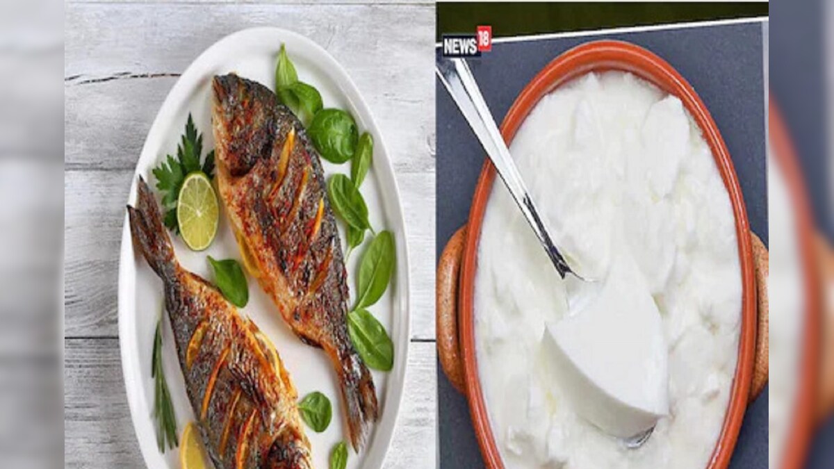 Fish-Curd Combination: చేపలు, పెరుగు కలిపి తింటే సైడ్ ఎఫెక్ట్స్ వస్తాయా ...