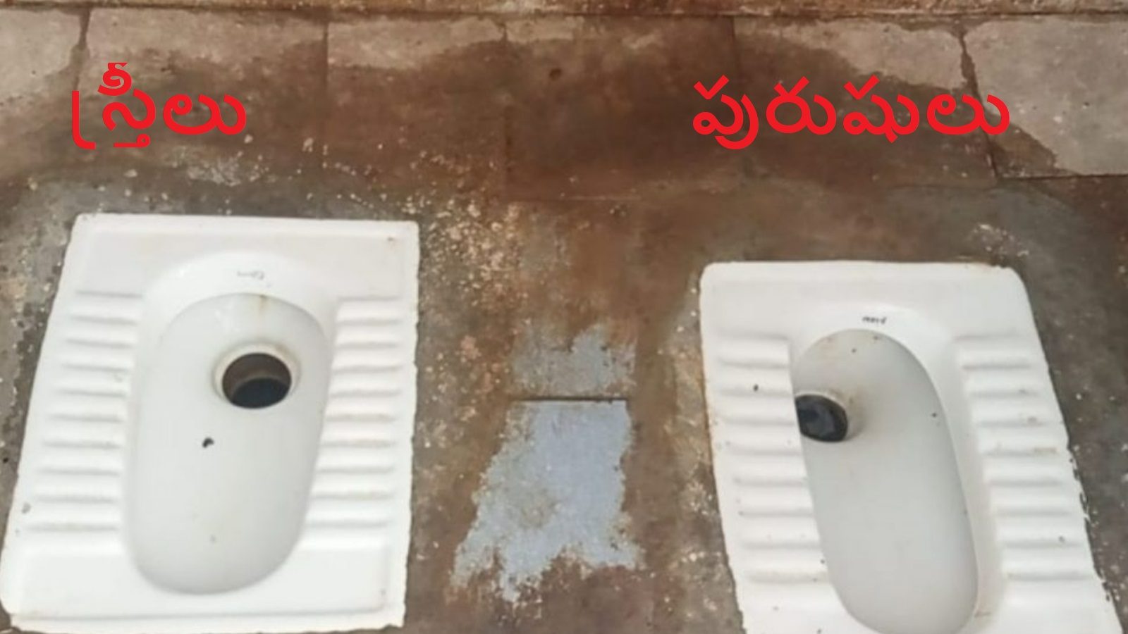 స్త్రీ, పురుషులకు ఒకే టాయిలెట్.. పక్కపక్కనే కూర్చునేలా కమోడ్‌లు.. మీ ...
