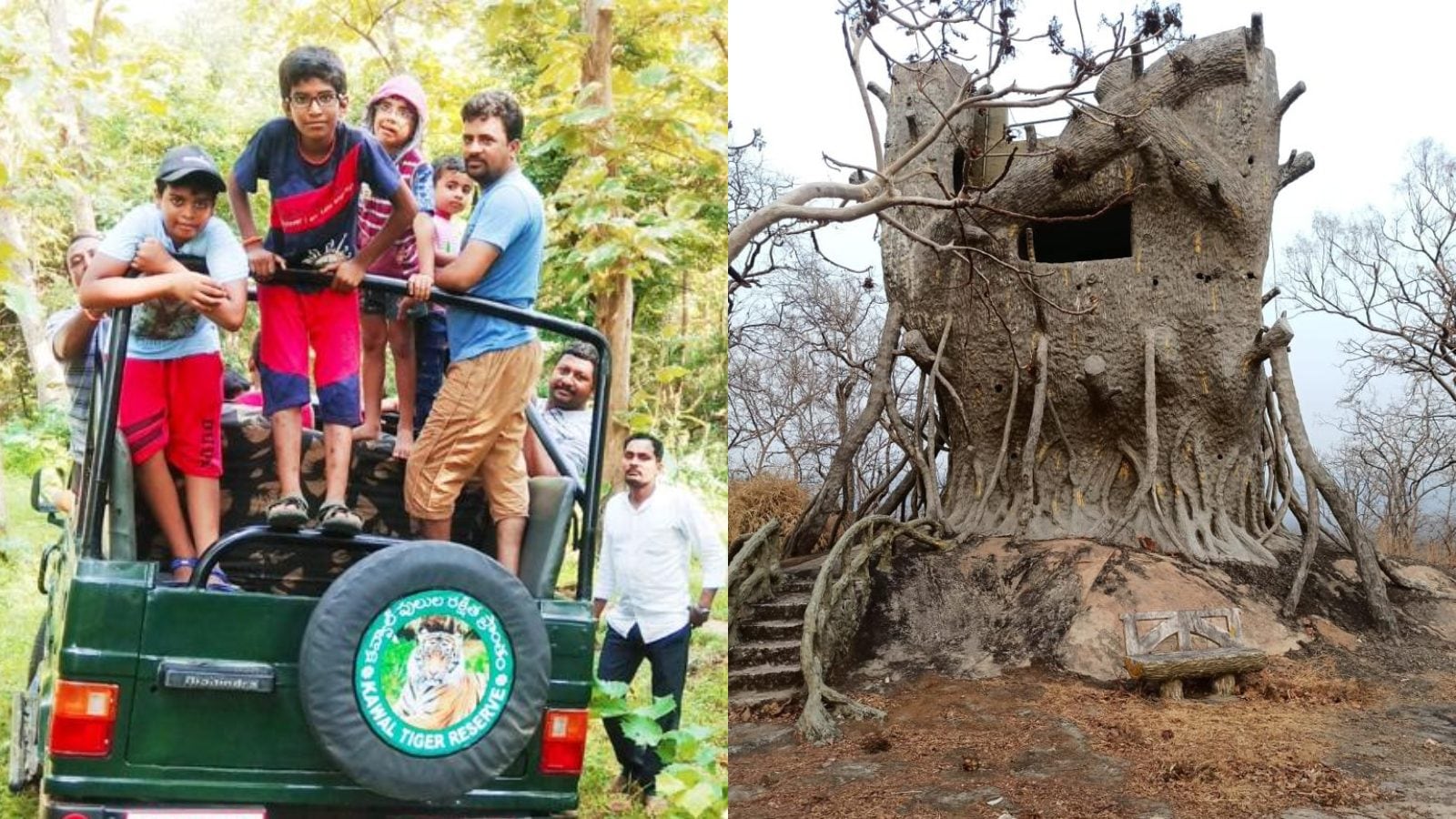 Tourist Spot: అదో అడవి జంతువులు ఉండే అభయారణ్యం .. ఒక్కసారి వెళ్తే కలిగే ...