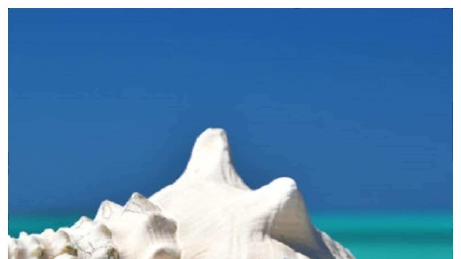 Shankam: శంఖం వల్ల కలిగే అద్భుతమైన ప్రయోజనాలు తెలుసా?/Amazing benefits ...