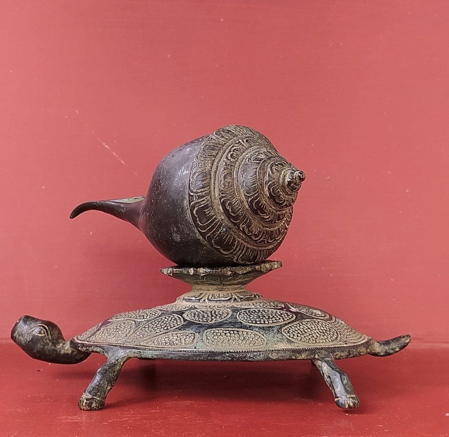 శంఖం ఇంట్లో ఉండటం వల్ల కలిగే అద్భుతమైన ప్రయోజనాలు తెలుసా? – News18 తెలుగు