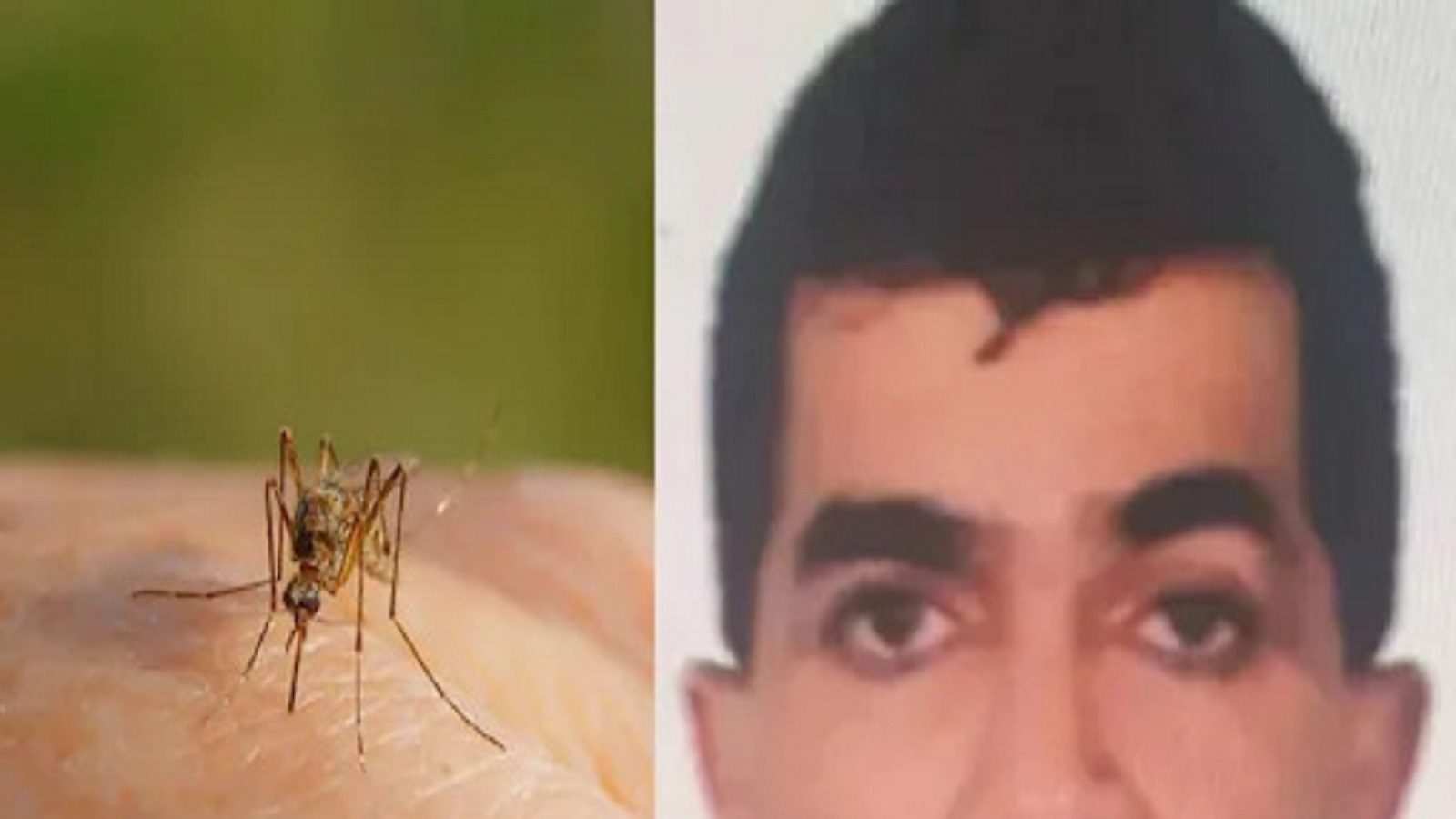 Trending: కోర్టులోకి దోమలతో నిండిన బాటిల్‌తో వచ్చిన గ్యాంగ్‌స్టర్ ...