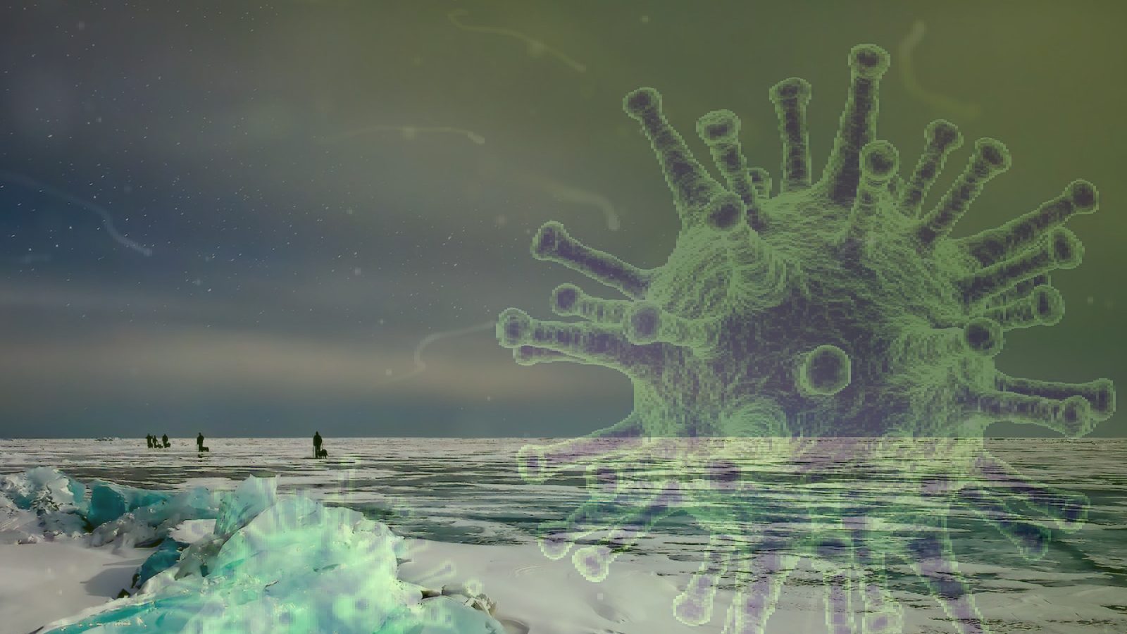 zombie viruses : పర్వతాల్లో జాంబీ వైరస్‌లు.. దాడి చేయవచ్చంటున్న ...