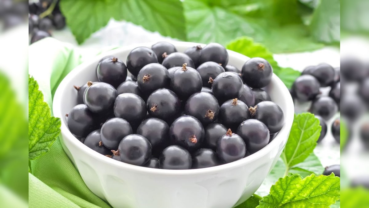 Black Currant : ఈ నల్లద్రాక్ష గురించి మీకు చెప్పాలి.. సంథింగ్ స్పెషల్ ...