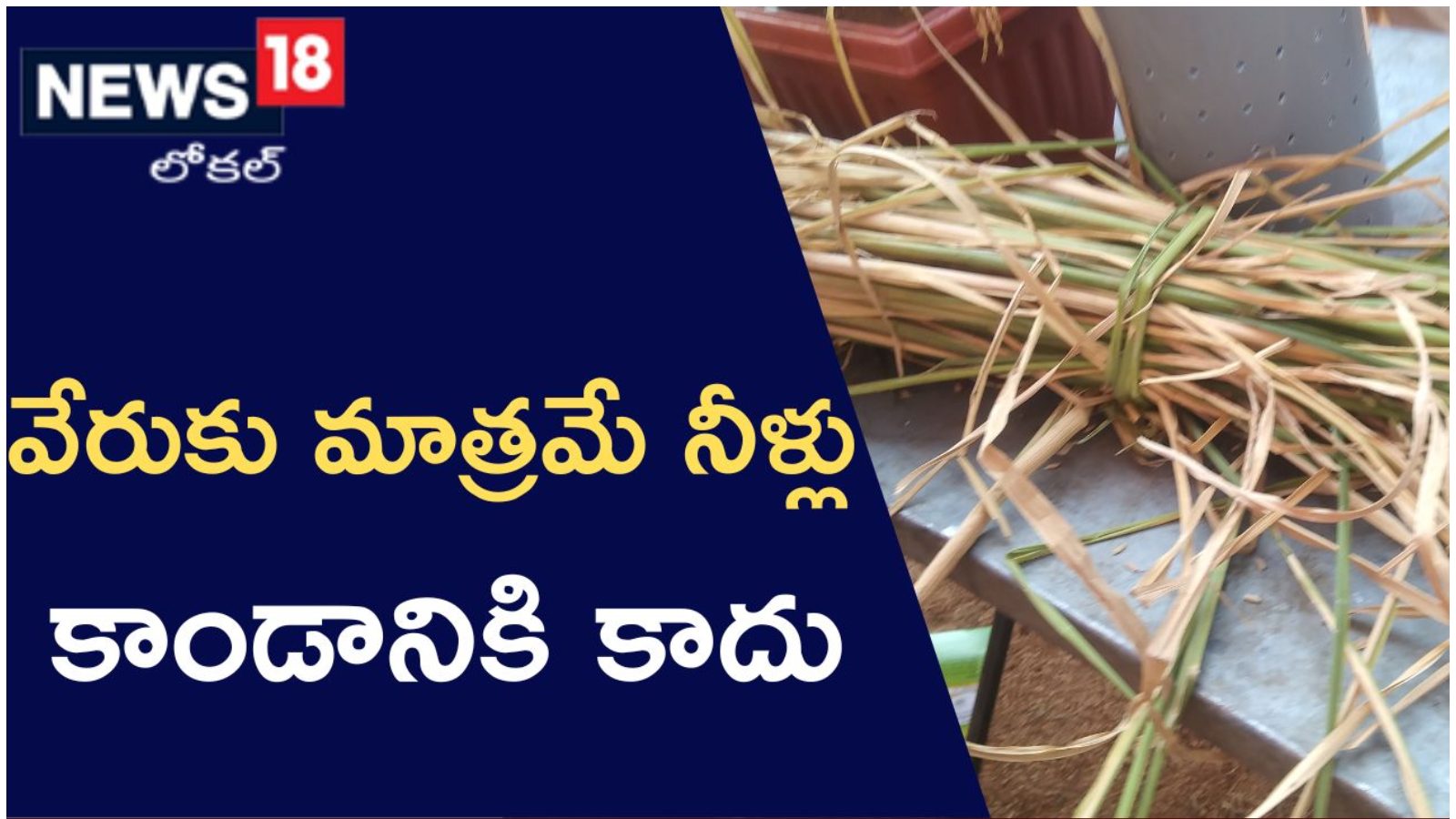 వరిపంటకు నీటిని కంట్రోల్ చేసే డివైజ్ - this device will Manage water flow– News18 Telugu