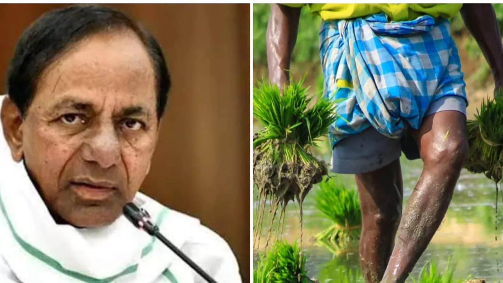 Rythu Bandhu: రైతులకు శుభవార్త.. ఆ రోజు నుంచే ఖాతాల్లో రైతుబంధు డబ్బుల ...