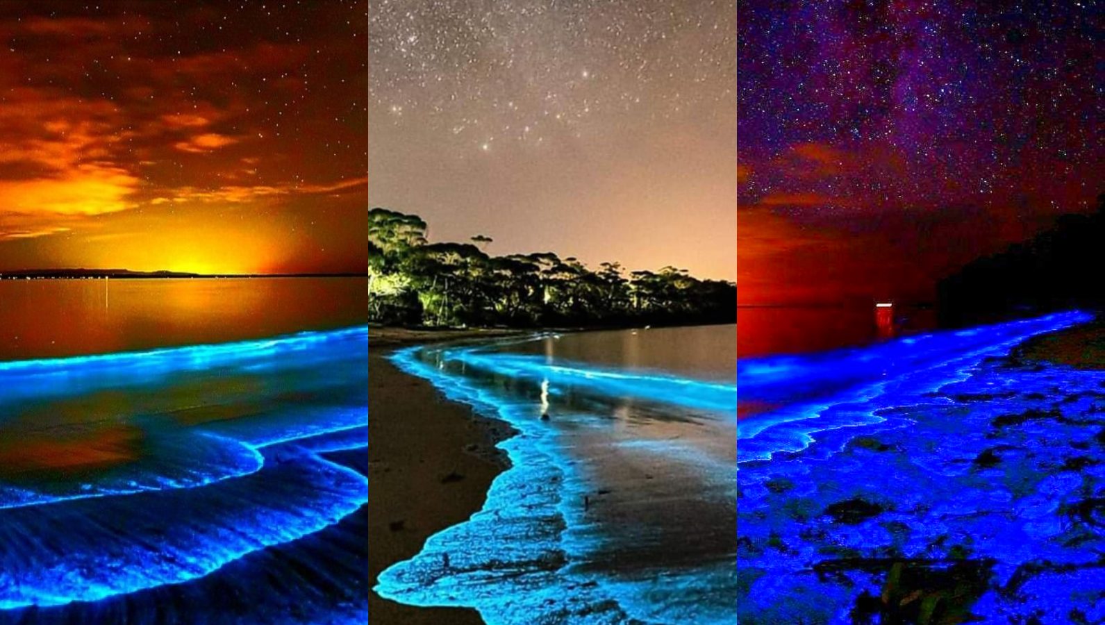 Glowing Beaches : ఈ 5 బీచ్‌లు మెరుస్తాయి.. వెళ్తే.. మరో లోకాన్ని ...