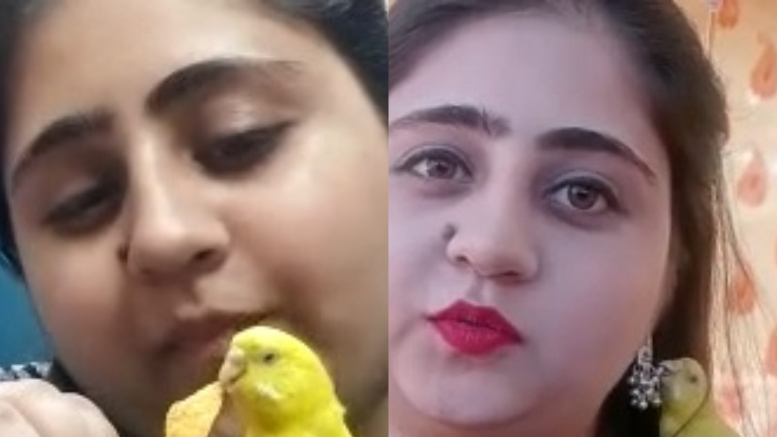 అద్భుతమైన స్నేహం.. రామచిలుకతో కలిసి హాట్ చిప్స్ లాగించేస్తున్న యువతి ...