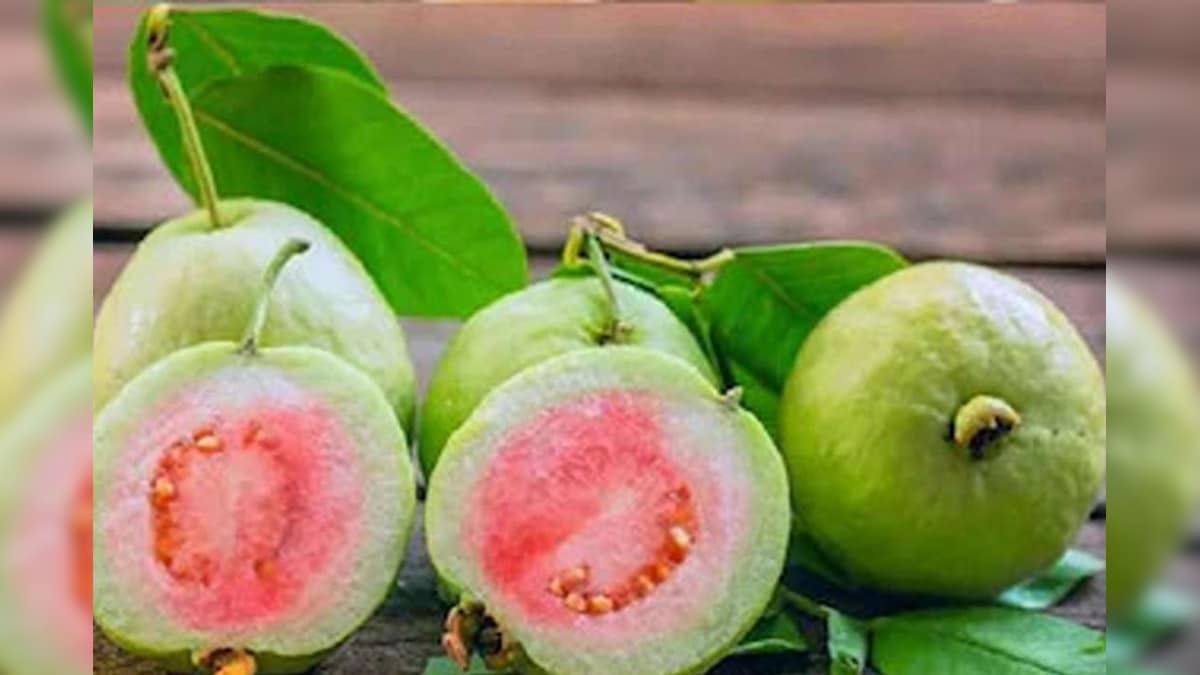 Guava Benefits: తెల్ల జామ..ఎర్ర జామ..ఎందులో పోషకాలు ఎక్కువ?