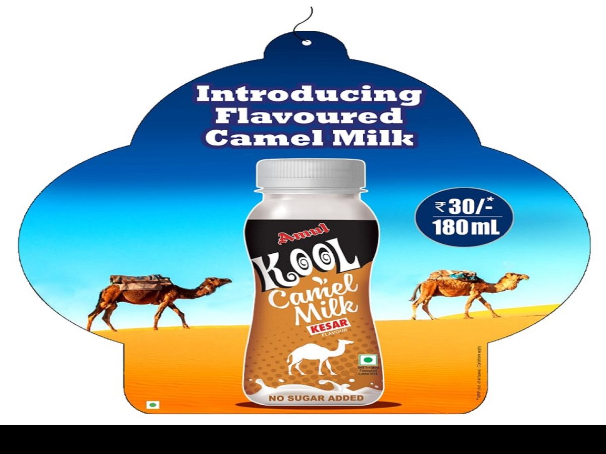 Amul Milk : ఒంటె పాలతో కేసర్ మిల్క్.. అమూల్ సంస్థ సరికొత్త ఉత్పత్తులు ...