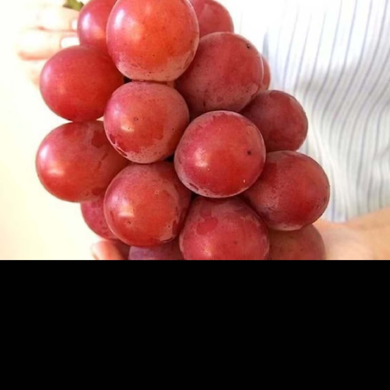 ఈ ద్రాక్ష గుత్తు ధర రూ.8 లక్షలకు పైనే.. ఎందుకో తెలుసా? – News18 తెలుగు