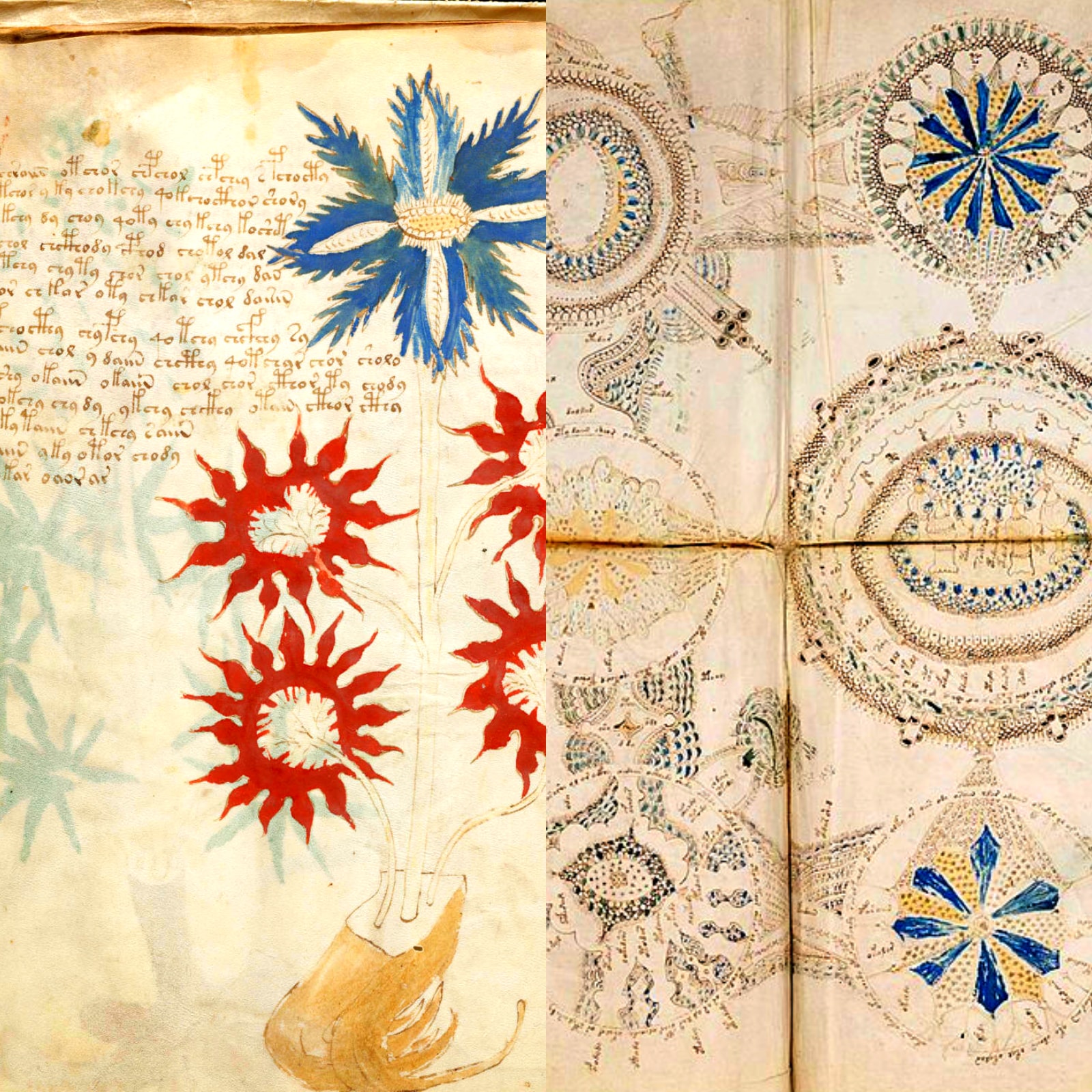 Voynich Manuscript : వింత రాత .. విచిత్ర పుస్తకం .. మీరు డీకోడ్ ...