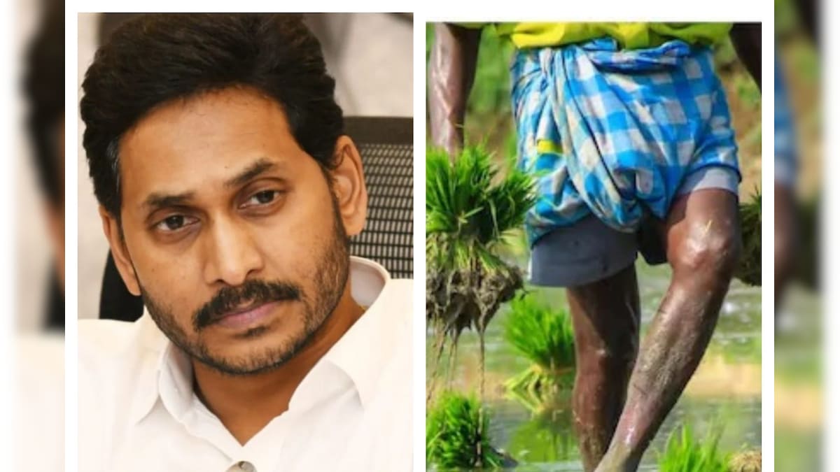 YSR Rythu Bharosa: ఏపీ రైతులకు సీఎం జగన్ రెండు శుభవార్తలు..అకౌంట్లోకి ...