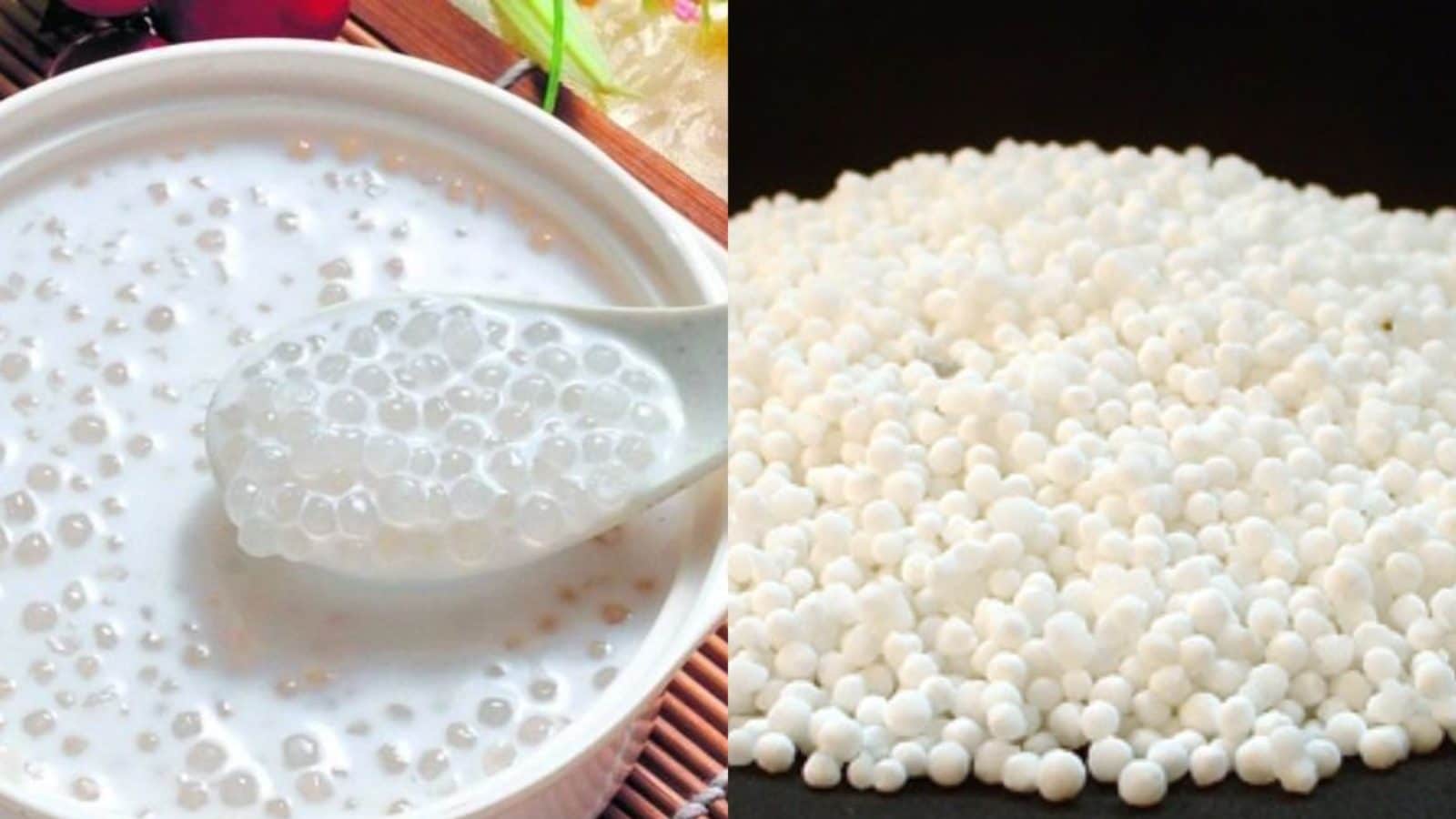 Sagu : ఉపవాస సగ్గుబియ్యం ఎక్కడ, ఎలా పెరుగుతుందో తెలుసా?