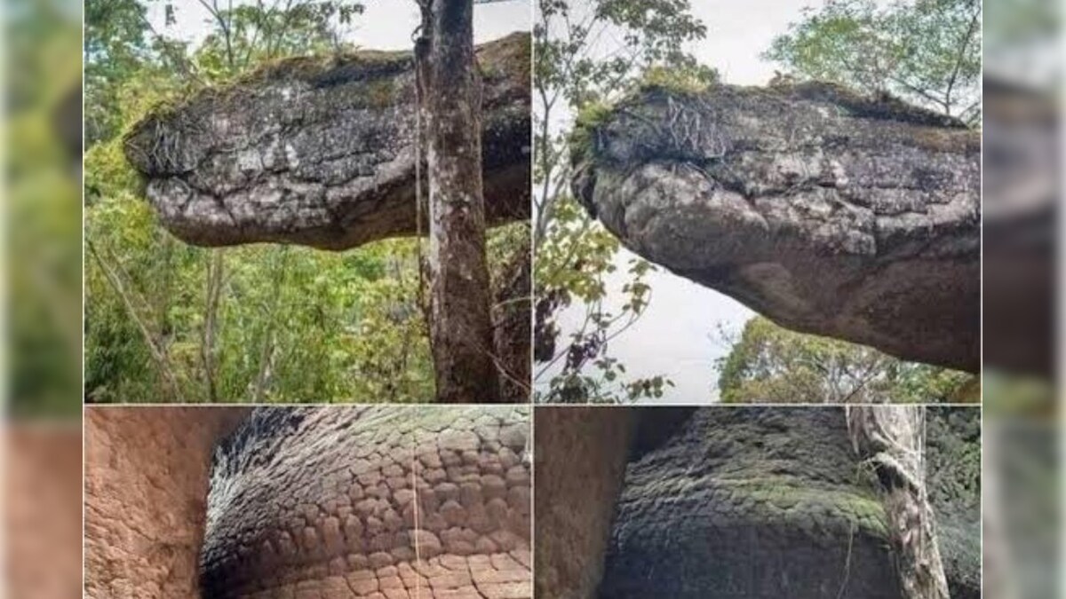 Snake Cave: చాలా గుహలు... పాముల ఆకారంలో ఉంటాయట! రాయిలా మారిన పాము ...