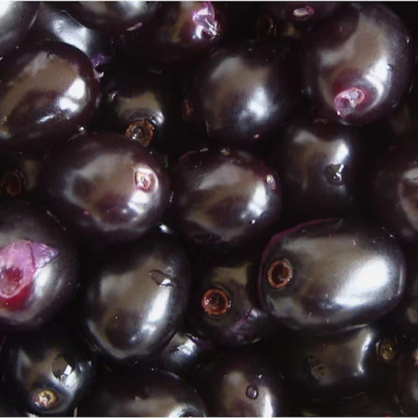 Jamun fruit : నేరేడు పండు తింటే 5 గొప్ప లాభాలు..ఈ విషయం తెలిస్తే అస్సలు ...