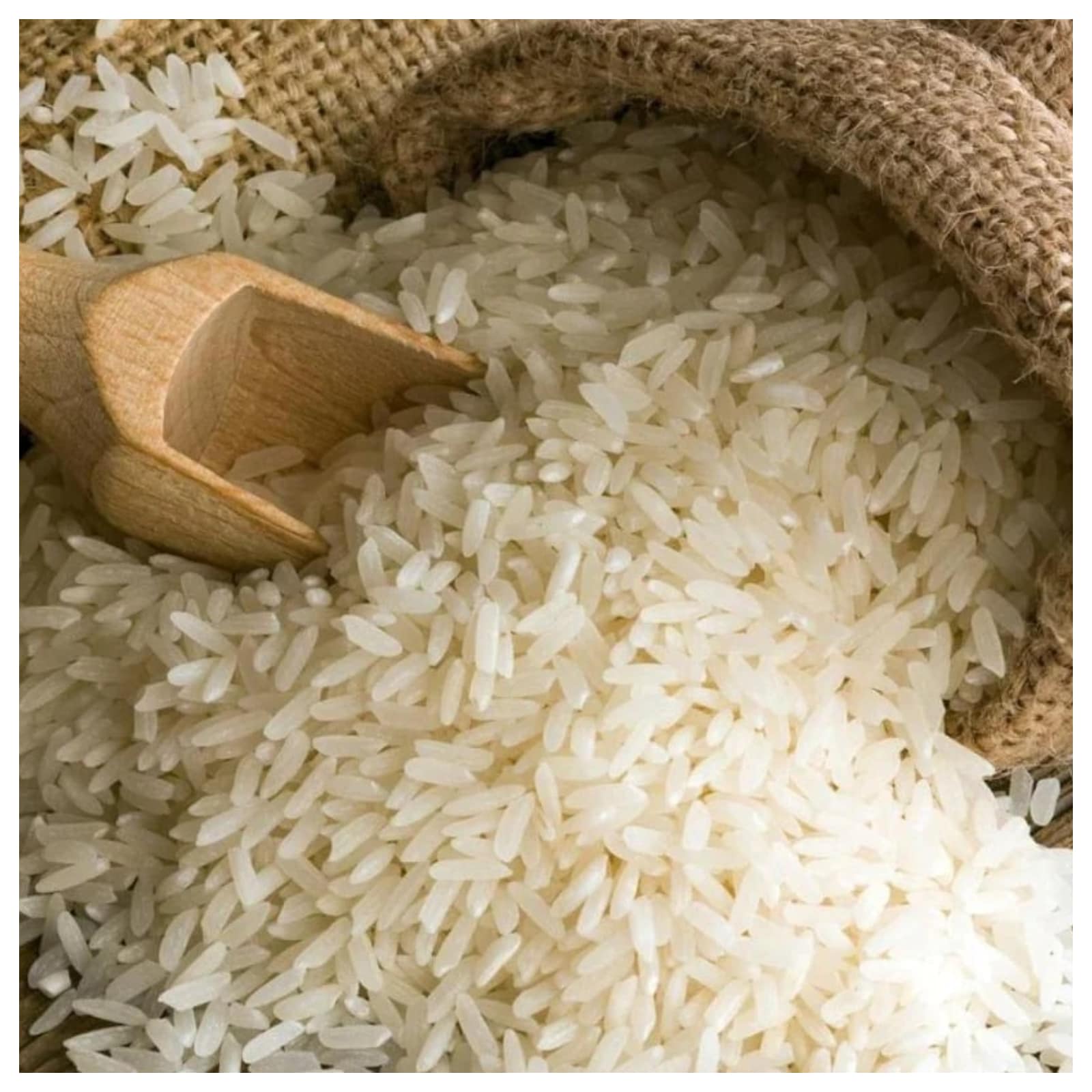 Basmati rice: ఈ బాస్మతి బియ్యం ఎందుకు అంత ఖరీదు? – News18 తెలుగు