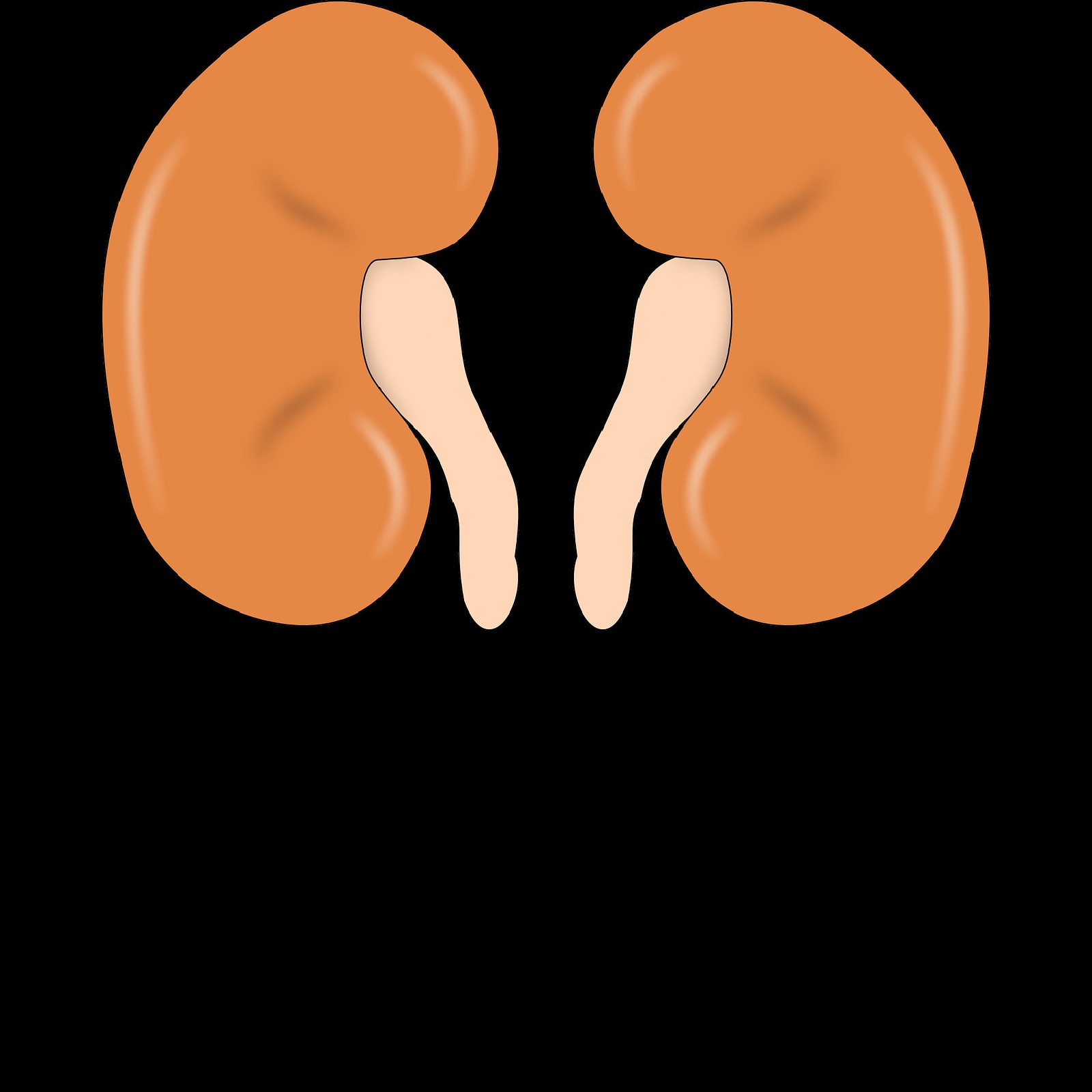 Kidney Health: మూత్రపిండాల్లో రాళ్లను సులభంగా కరిగించే మార్గాలు ఇవే ...