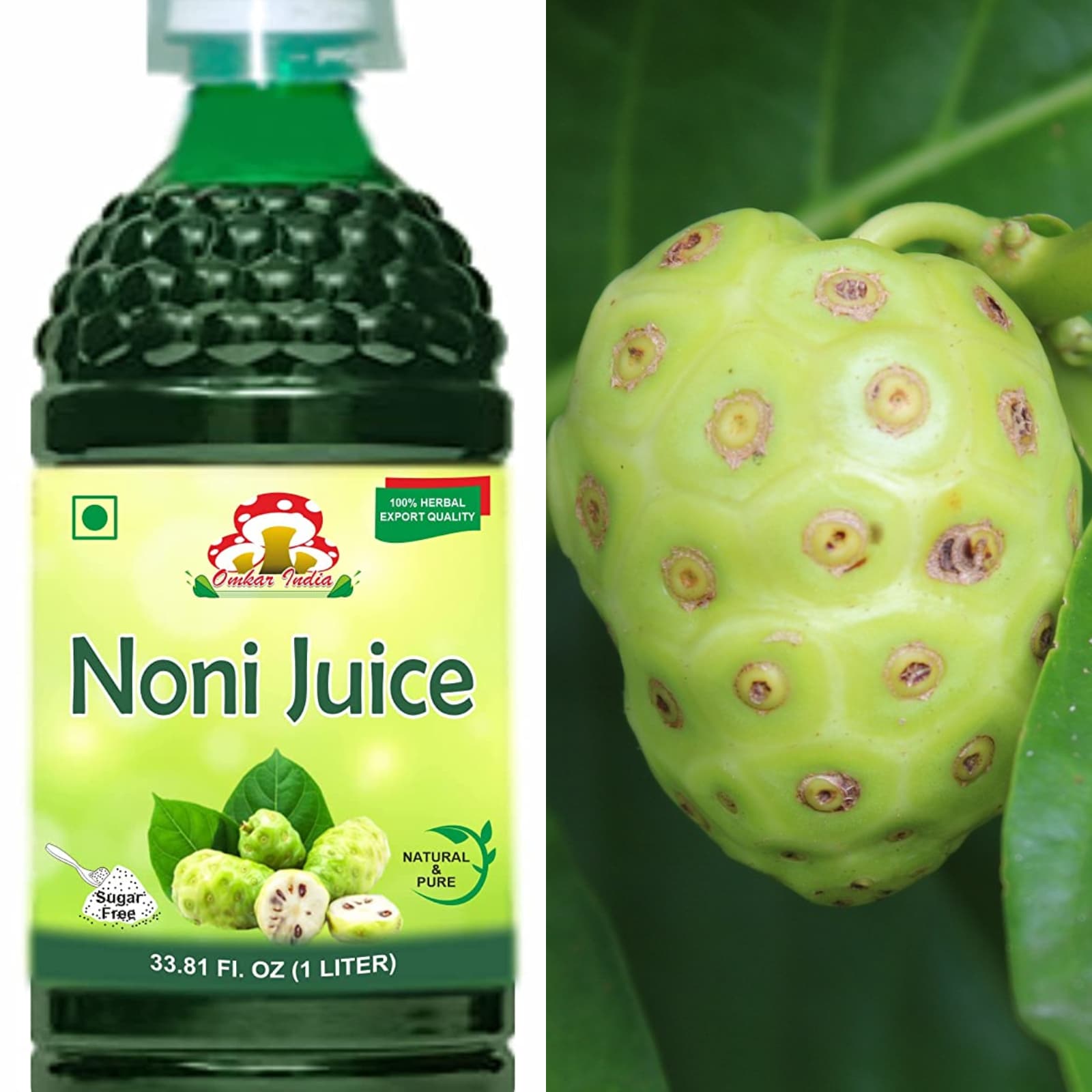 Vomit Fruit : వాంతి పండు.. ఆరోగ్యం మెండు – News18 తెలుగు