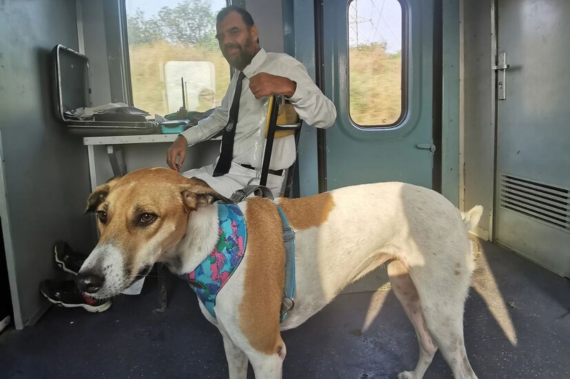 Pets In Train:పెంపుడు కుక్కతో ట్రైన్‌లో ప్రయాణించాలా..? ఇవిగో ఈ ...