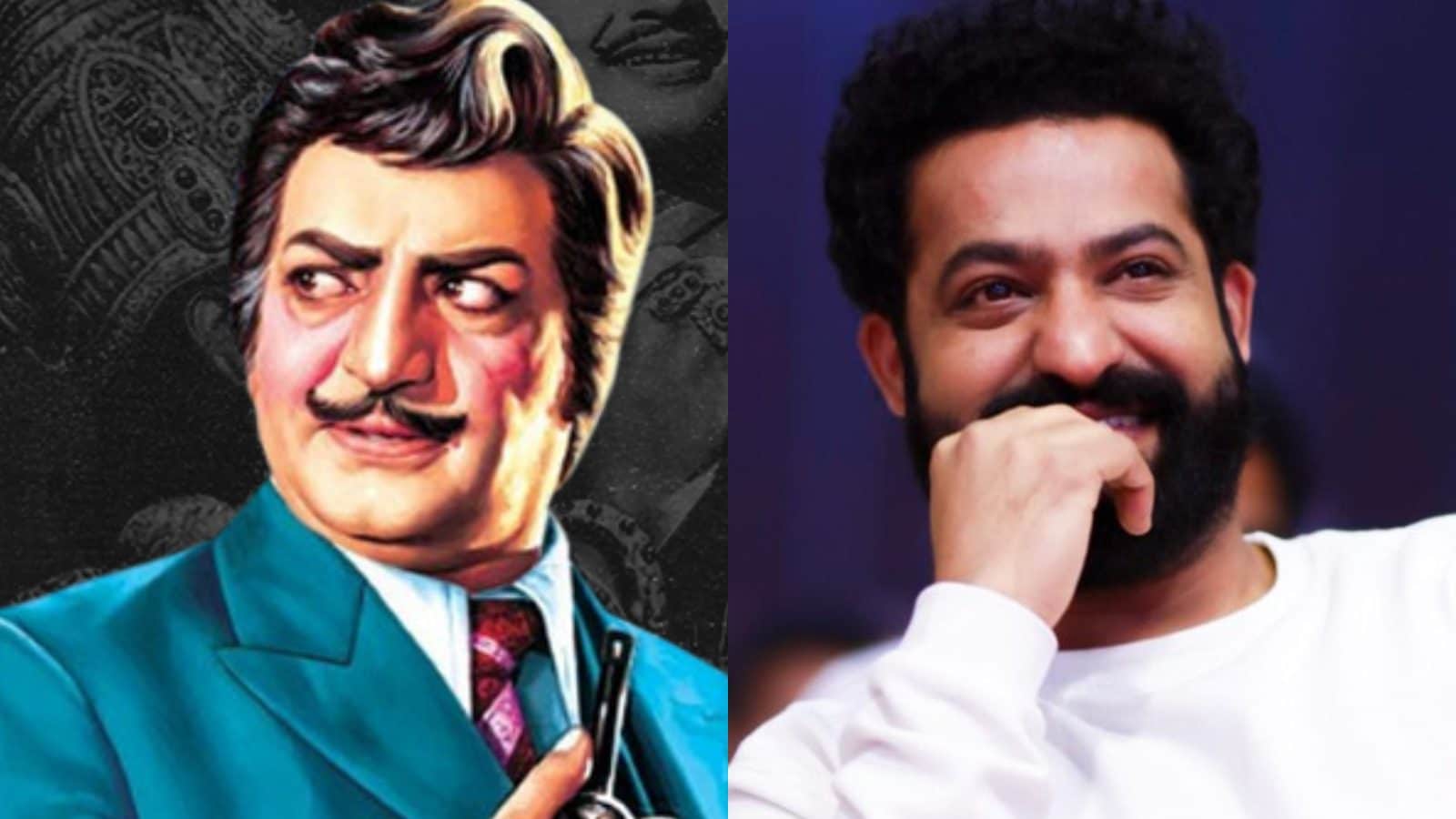 Jr NTR: తాత పుట్టిన నిమ్మకూరులో జూ ఎన్టీఆర్‌కు ఎంతో ఆస్తి ఉందో ...