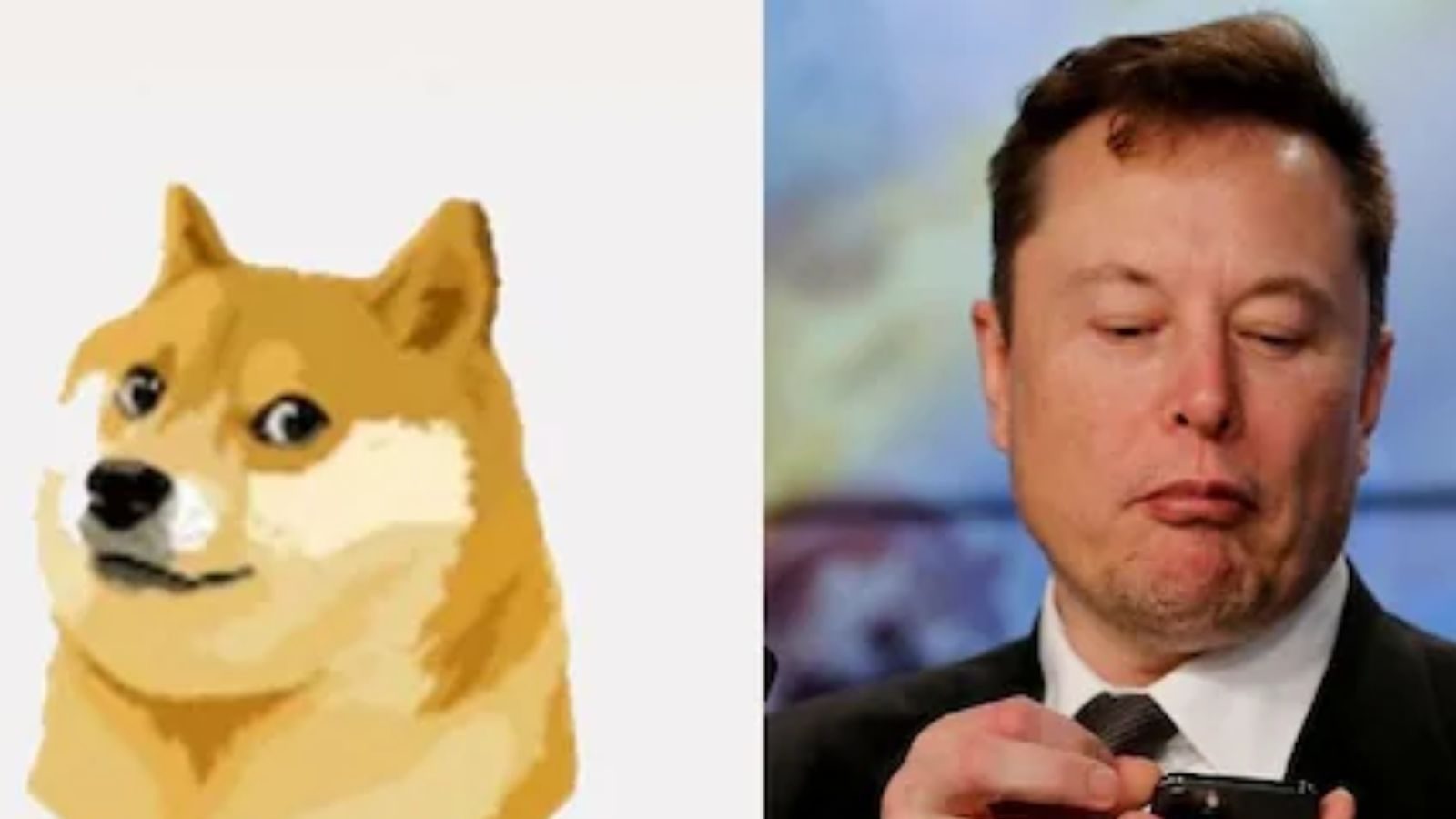 Twitter Doge: ట్విట్టర్ లోగోను మార్చిన మస్క్.. పక్షి లోగో స్థానంలో ...