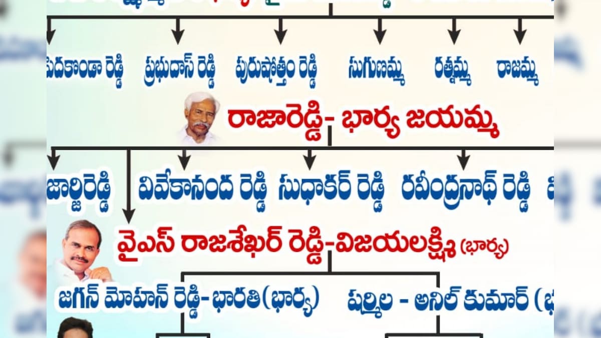YS Family: వైసీపీ అధినేత జగన్ కు భాస్కర్ రెడ్డికి ఉన్న రిలేషన్ ఏంటి ...