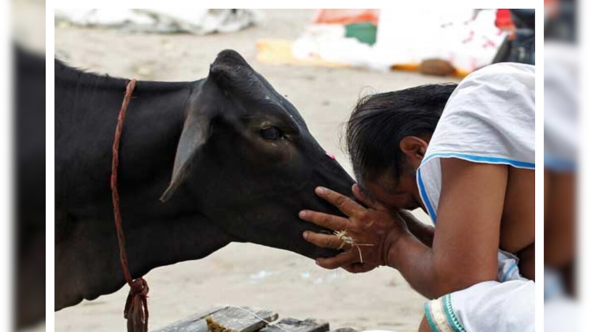 Vastu dosha Tips: ఆవు ఇలా ఇంట్లోని దోషాలన్నింటినీ తొలగిస్తుందట..!