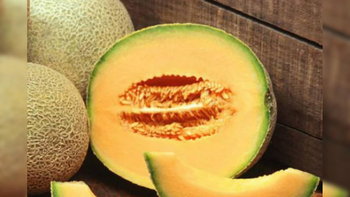 Muskmelon : మామిడి-జామ-పుచ్చకాయలనే కాదు.. ఈ పండు వైపు కూడా చూడండి! ఇది ...