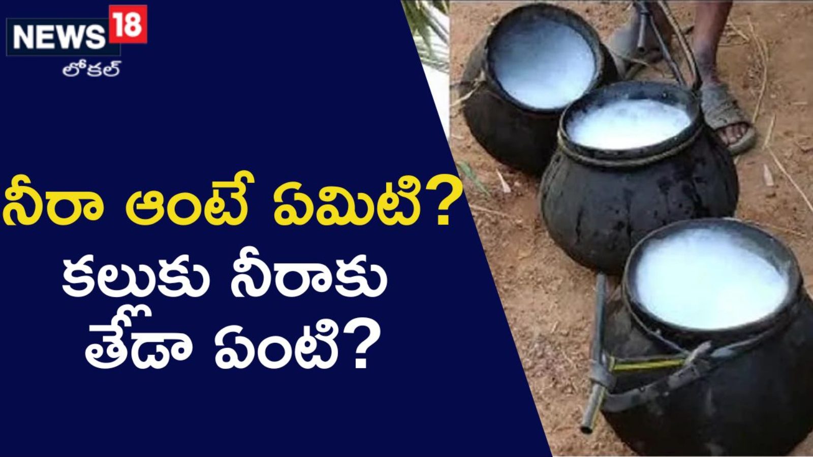What is Neera and what are the benefits of Neera? Karimnagar: నీరా ఆంటే ...