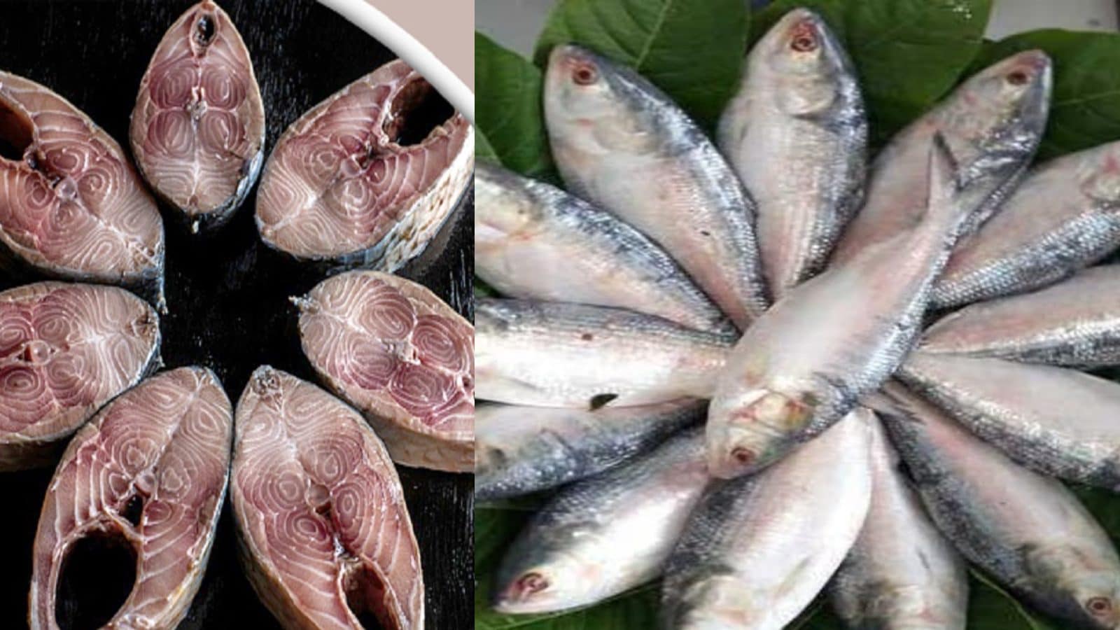 Fish Benefits: చేపలు ఎందుకు తినాలి..? ఉపయోగాలు తెలిస్తే.. వారానికి మూడు ...