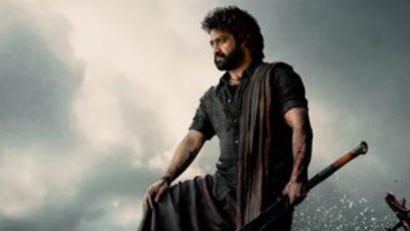 Jr Ntr: జూనియర్ ఎన్టీఆర్ ఫ్లెక్సీపై రక్తం.. ఫ్యాన్స్ అరెస్ట్... ఇదే ...