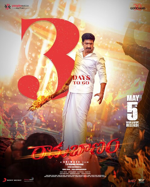 Rama Banam 1st Week Collections: బయ్యర్స్‌కు గట్టిగానే గుచ్చుకున్న ...