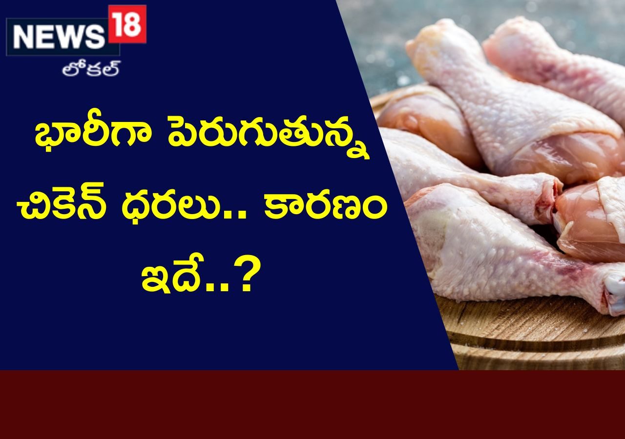 Chicken Price: చికెన్ ప్రియులకు షాక్.. భారీగా పెరుగుతున్న ధరలు.. కారణం ...