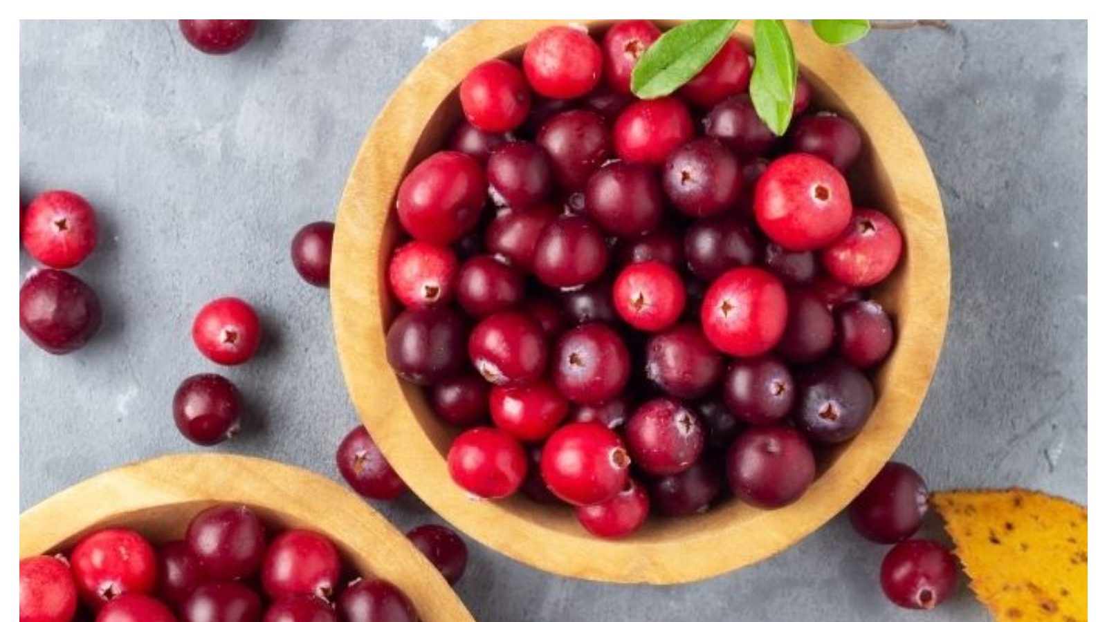 Cranberry Benefits : చిన్న పండ్లని తేలికగా తీసుకోకండి! క్రాన్బెర్రీ ...