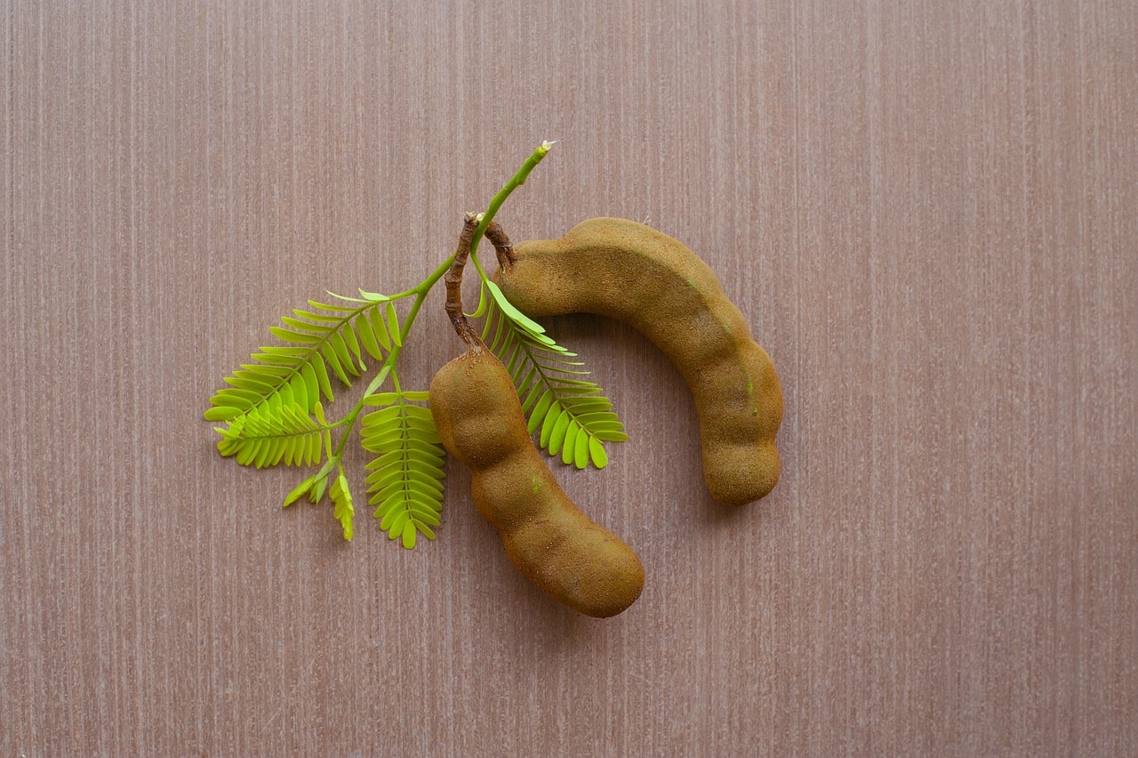 Benefits of Tamarind Leaves: చింత ఆకులు వల్ల కలిగే లాభాలు తెలిస్తే ...