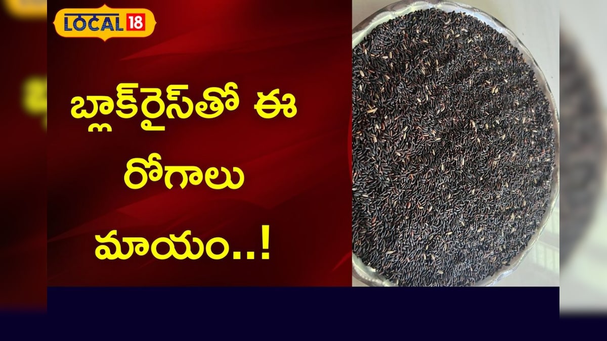 Black Rice: బ్లాక్‌రైస్‌తో ఈ రోగాలు మాయం..! కిలో బియ్యం ఎంతంటే ...