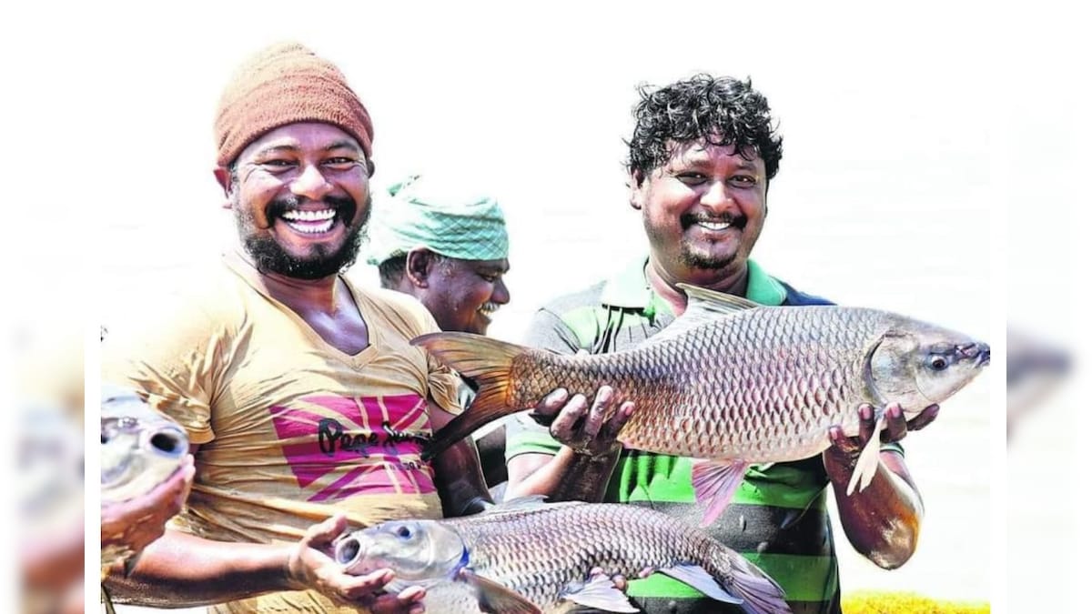 Mrigasira Karthi | Fish: మృగశిర కార్తె రోజు చేపలు ఎందుకు తింటారు? మీకు ...