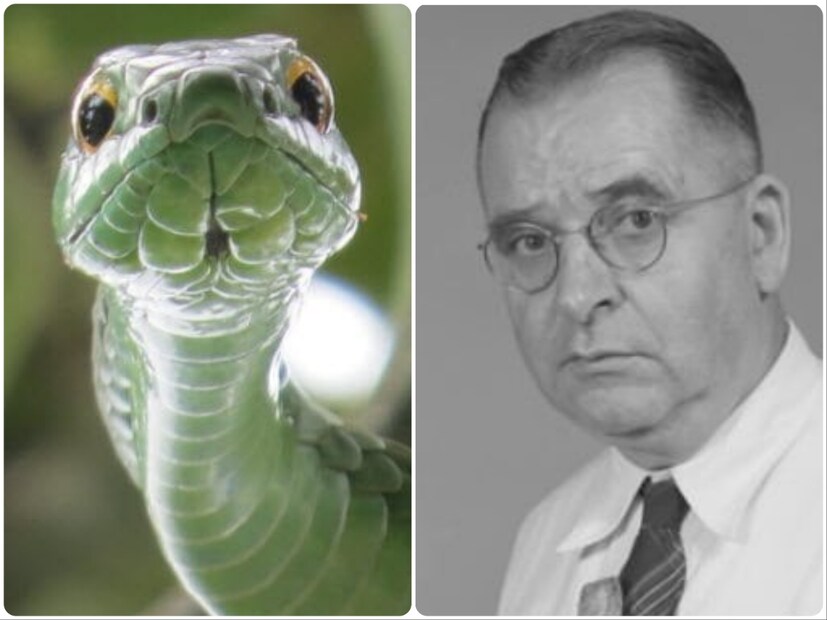 OMG: పాముతో కాటు వేయించుకున్న డాక్టర్ ..చనిపోయే వరకు డైరీ రాసుకున్నాడు ...