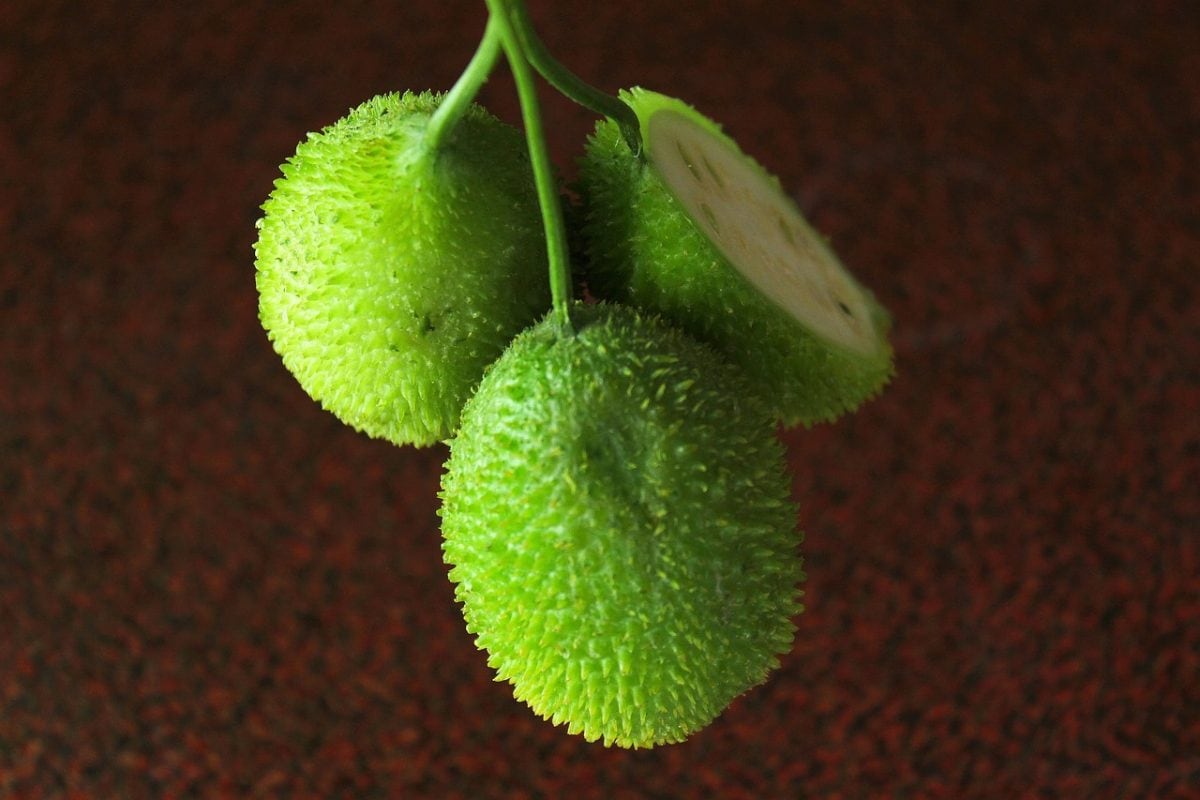Benefits Of Spiny Gourd: వర్షకాలంలో దొరికే బోడకాకర కాయను తింటే రోగాలు ...