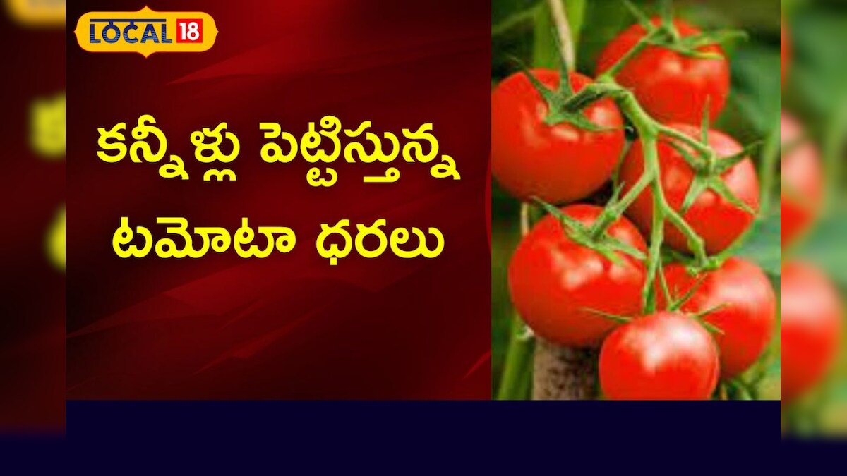 Bye Bye Tomato: నన్ను ఇక మరిచిపోండి అంటున్న టమోటా.. డబుల్ సెంచరీ దిశగా ...