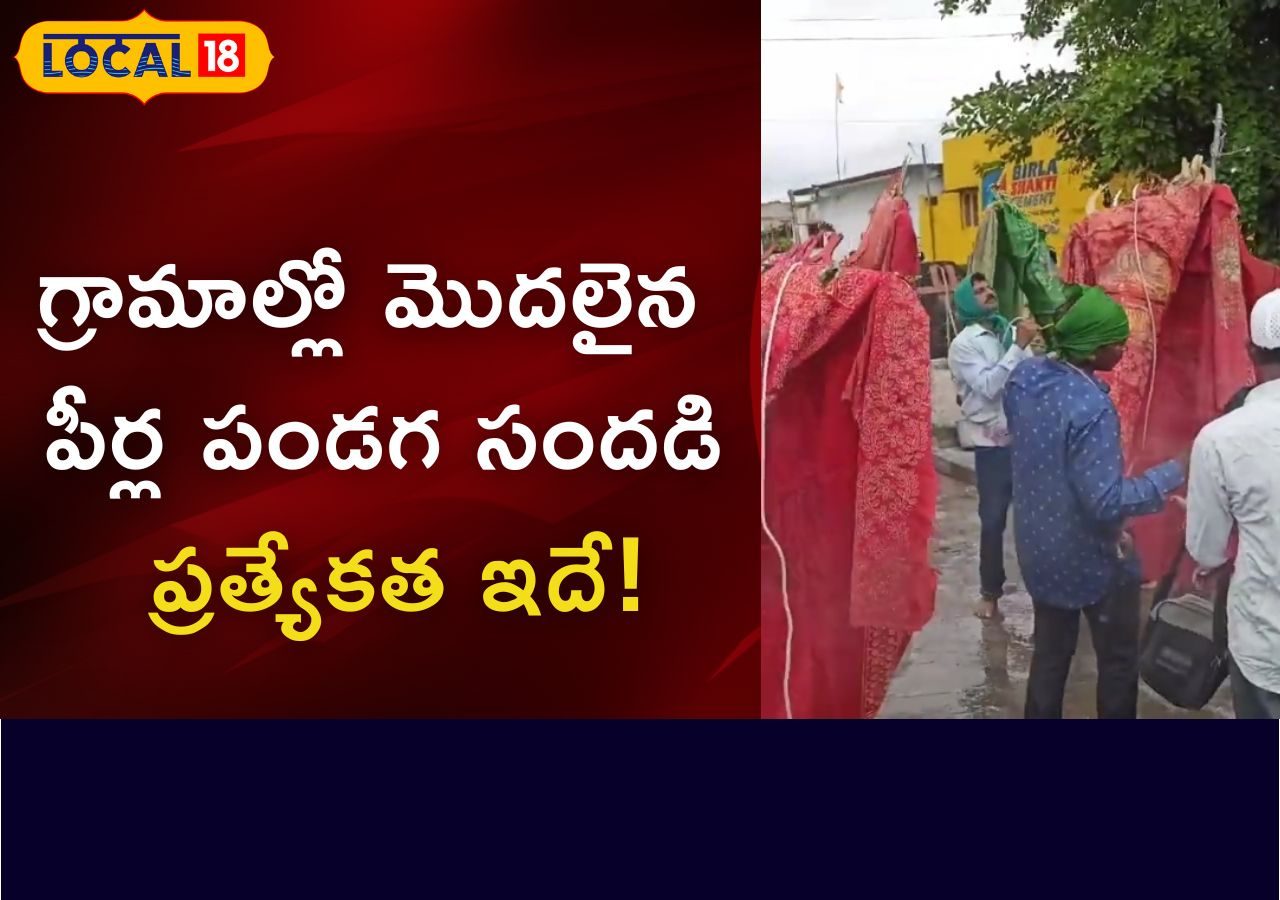 Peer festival has arrived.. Villages are buzzing– News18 Telugu